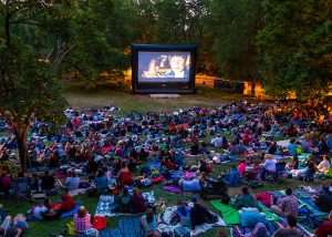 How to Host an Outdoor Movie Night in 10 Steps | FunFlicks®